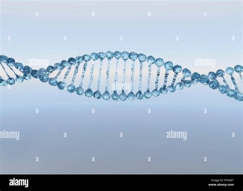 Digital Image Of DNA Helix Stock Photo Alamy