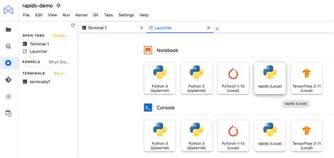 Vertex Ai — Rapids Deployment Documentation Documentation