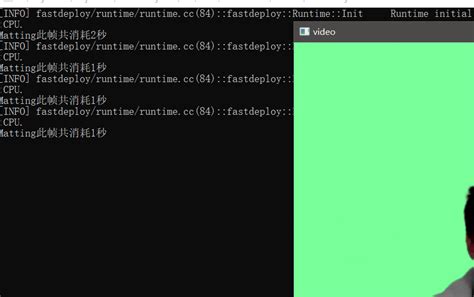 The Speed Of Inference With Gpu Is Slower Than Cpu When I Use Pp