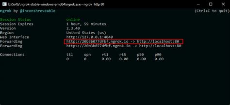 How Do I Check My Localhost Connection