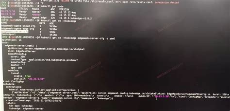 Edgemesh Agent Cannot Connect To Edgemesh Server Tunnel Server Issue Kubeedge Edgemesh