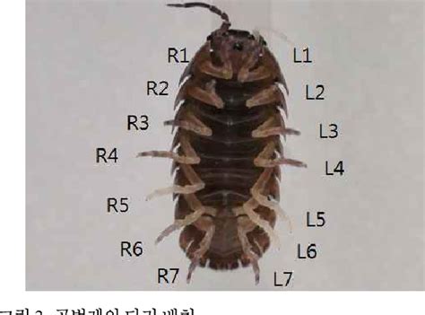 Figure 3 From 공벌레의 보행패턴 분석을 통한 소형로봇의 주행 메커니즘 설계 Semantic Scholar