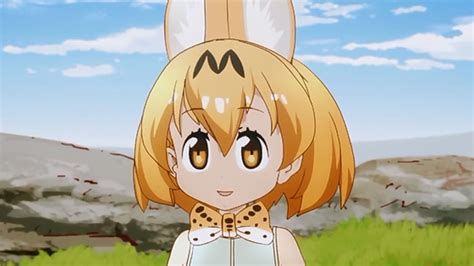 けものフレンズ ガイドブック5が届きました。見どころをレビュー ユニセックス けものフレンズ ガイドブック5が届きました。見どころをレビュー ユニセックス