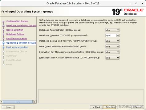 基于 Vsphere 环境安装 Oracle19c Rac 详细过程记录一次在vmware Esxi6虚拟机环境下搭建oracle的rac的