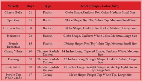 Radish And Turnip MAFAS Caribbean