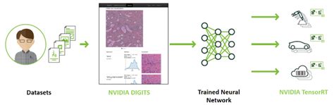 Train And Deploy Deep Learning Applications With Nvidia Digits 5 And New Tensorrt Nvidia