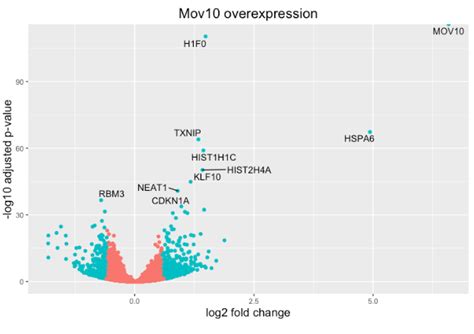 rna seq 详细教程：可视化（12） rna seq 可视化 csdn博客