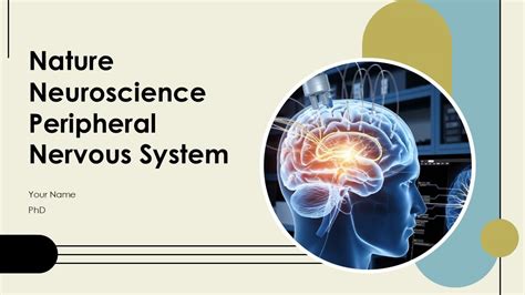 Nature Neuroscience Peripheral Nervous System PPT Sample ACP PPT Slide