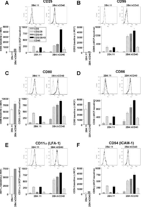 Figure 5 From A Costimulatory Function For T Cell Cd40 Semantic Scholar