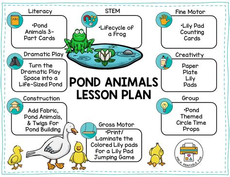 Preschool Pond Lesson Planning Ideas