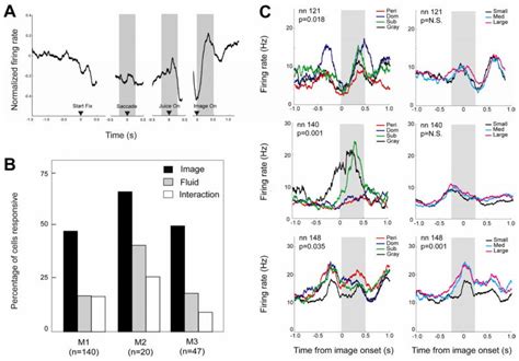 Social Signals In Primate Orbitofrontal Cortex Pmc