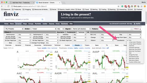 Best Finviz Screener Settings For Swing Trading