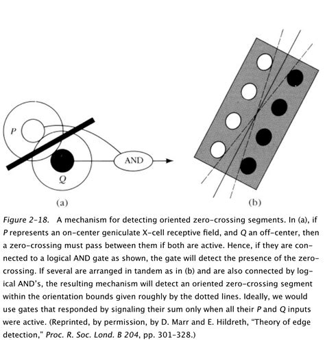 Neuroscience Doubt About Zero Crossings Detection In The Visual