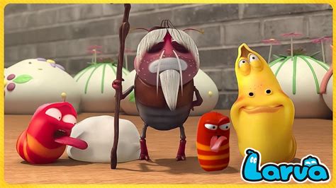 Larva Comedy Video 2025 Eat Cake Brown Larva Cartoon Top 30