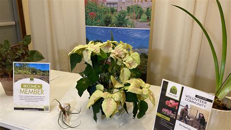 Brush Up Your Skills At The Botanic Garden S Spring Pruning Workshop