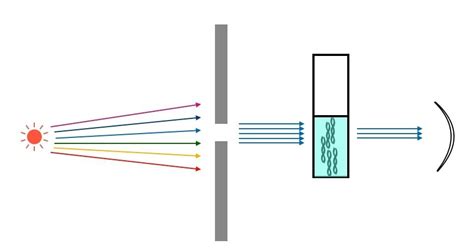 Spectrophotometer Working Principle And Solved Problems In Biology 1
