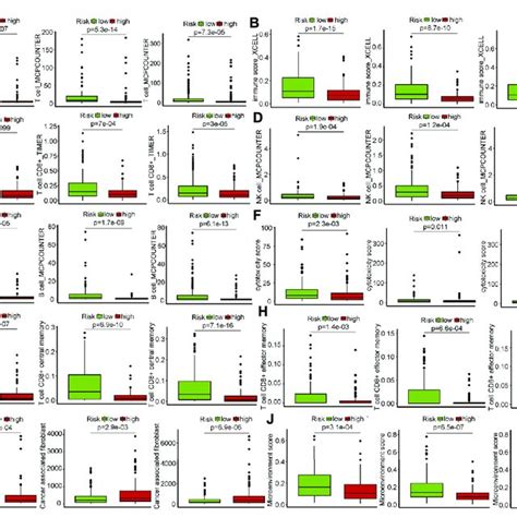 infiltrating cell type analysis using multiple deconvolution
