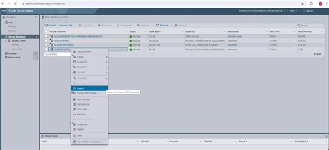 export import virtual machines in vmware vsphere