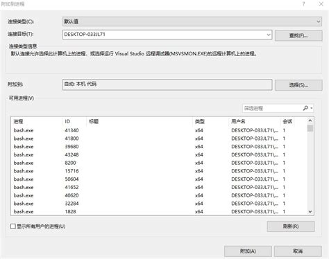 dotnet 代码调试方法