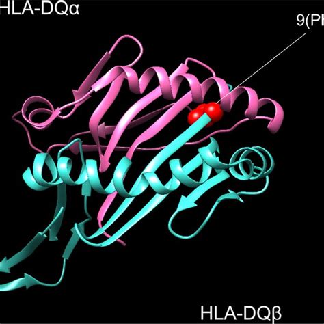 Multiple Sclerosis Risk Associated Amino Acid Positions Of The Hla Download Scientific Diagram