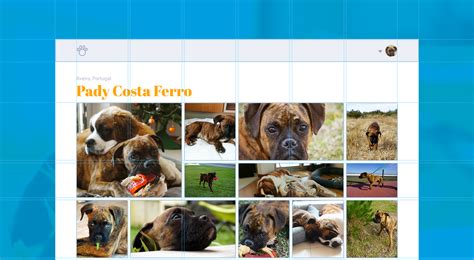 Css Grid Layout — Crossed Sections By Rafaela Ferro Deemaze Writing Wall Medium