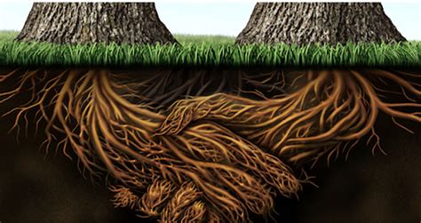 Applying Design Structure Matrices