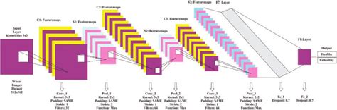 proposed cnn model architecture download scientific diagram