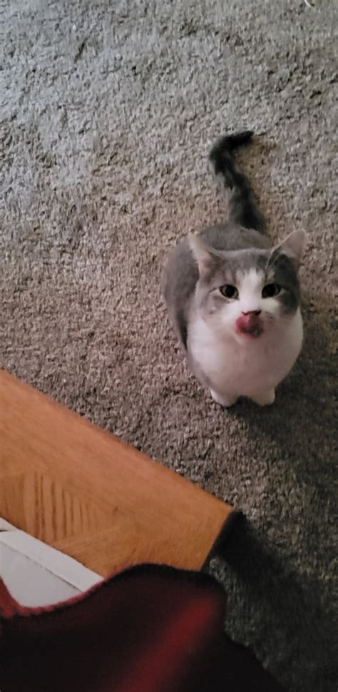 First Mlem From Basil That Ive Caught Rmlem