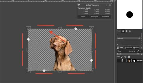 How To Rotate Transform An Image In GIMP Complete Guide Edits