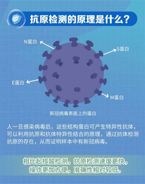 “新冠抗原自测”试剂，你会用了吗？ 检测 核酸 防控