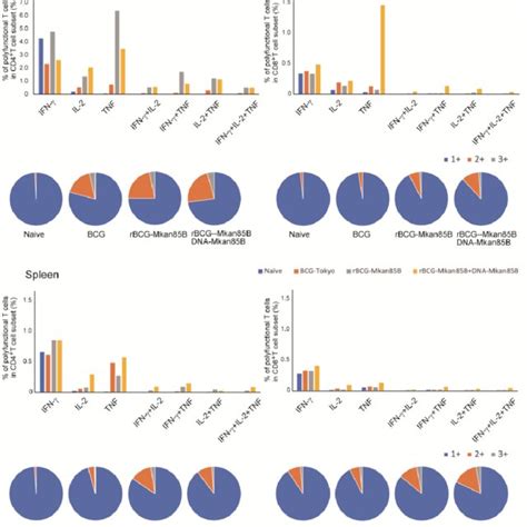 Polyfunctional Cd4 And Cd8 T Cells In A Immune Cells Isolated