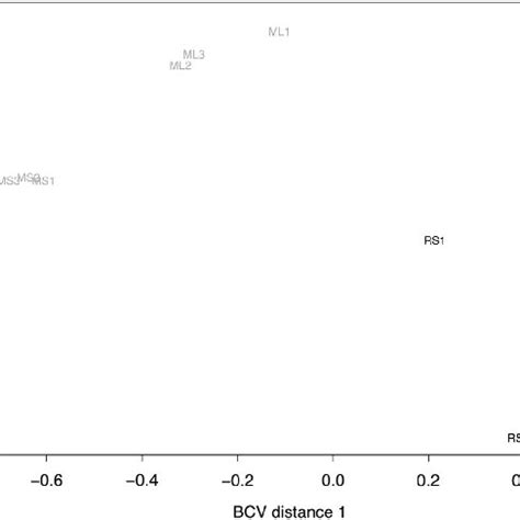 Multidimensional Scaling MDS Plot Between Individual Samples