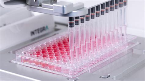 How To Do Serial Dilutions Including Calculations Integra