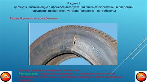Каталог основных дефектов пневматических шин возникающих в процессе их эксплуатации
