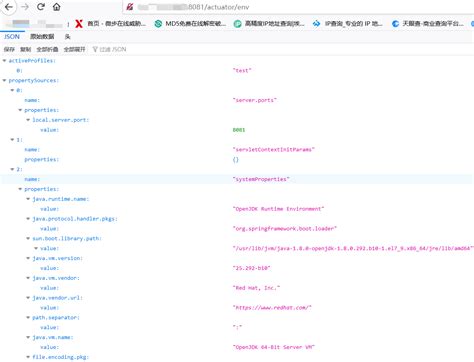 从spring boot泄露到接管云服务器平台 蚁景网安实验室 博客园