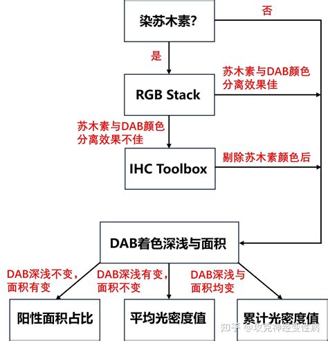 一文讲清免疫组化结果到底该选择阳性面积占比，平均光密度值，累积光密度值还是其他分析方法——imagej 知乎