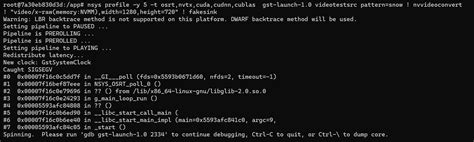 Nsys Profile In Deepstream Container Profiling Linux Targets Nvidia Developer Forums
