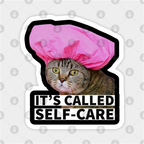 Treat Yo Self 30 Wholesome Cat Memes Reminding You To Prioritize Self