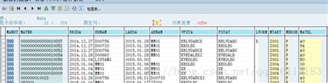 sap 系统标准表的操作（增删改查） sap 删除标准表数据要注意什么 csdn博客