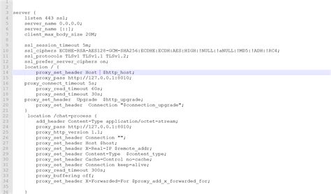nginx 反向代理文件上传过大的问题 故渊
