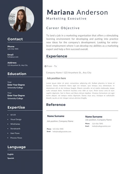 Essay Examples For Career Goals On Resume
