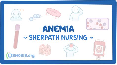 Case Study Anemia Nursing Video And Causes Osmosis