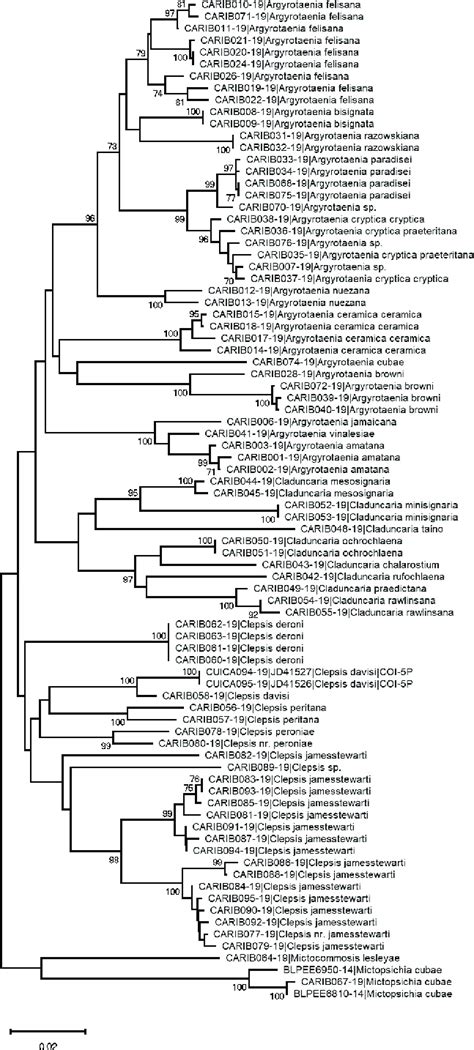 Neighbor Joining Nj Tree Inferred Using The Neighbor Joining Method Download High