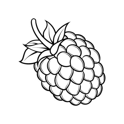 Premium Vector Raspberry Line Art Vector For Minimalist And Modern Design Concepts