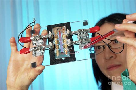 Lab On A Chip Photograph By Volker Stegerscience Photo Library Pixels