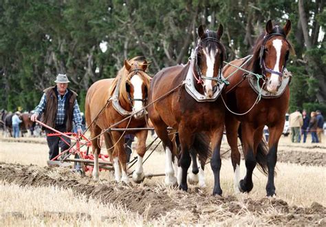 10 Effective Hacks On How To Improve Work Efficiency CareerCliff