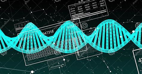 Image Of Spinning Dna Structure Network Of Connections And Interface With Data Processing Stock