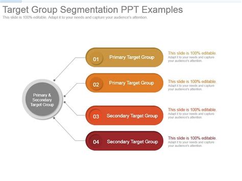 Target Group Segmentation Ppt Examples Presentation Graphics Presentation PowerPoint Example