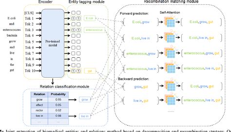 Figure 1 From Joint Extraction Of Biomedical Entities And Relations Based On Decomposition And