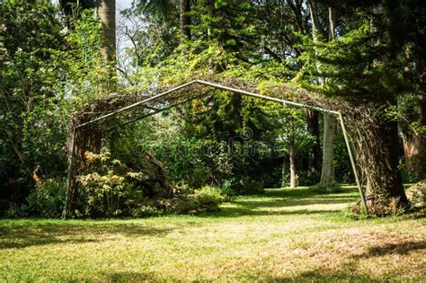 Beautiful Garden Arch Surrounded By Trees And Ornamental Plants In A Backyard Stock Image